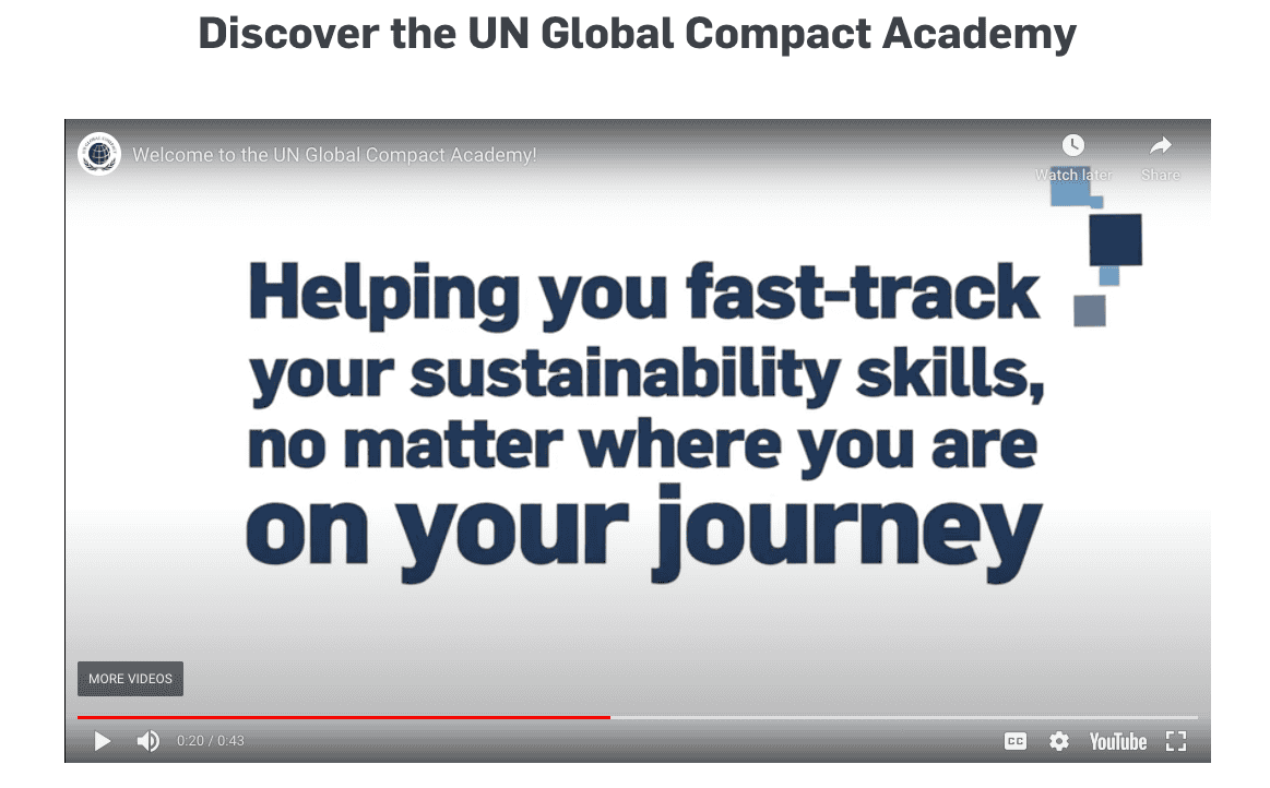 UN Global Compact Academy - howtoesg.org